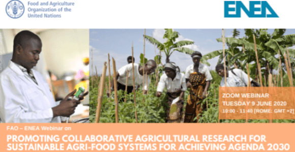 FAO – ENEA Webinar on here WITH THE COLLABORATION OF PROMOTING ...